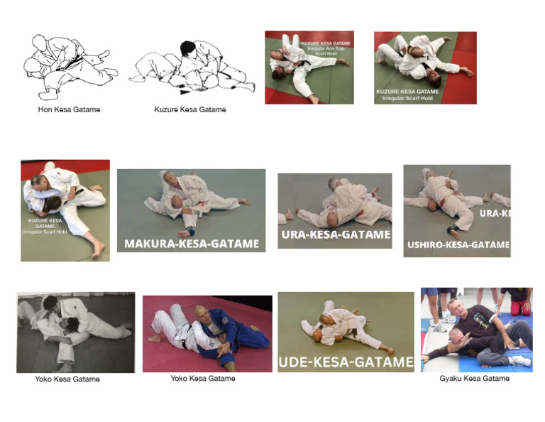 Kesa Gatame Chart | PDF