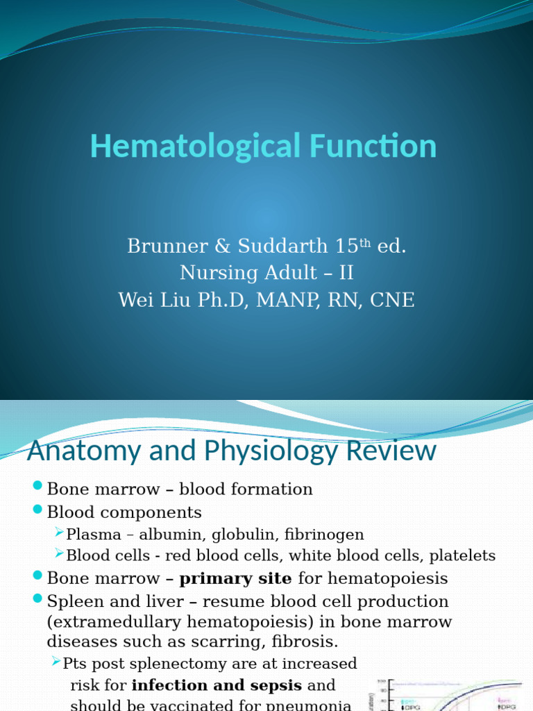 Hematological System | PDF