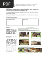 Secuencia Seres Vivos y Elementos Sin Vida Primer Grado 2024 | PDF ...