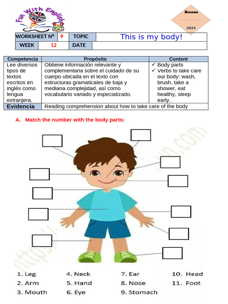 Worksheet 9 - This Is My Body - Ciclo VII | PDF
