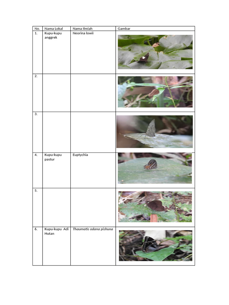 Tabel Hasil Magang | PDF