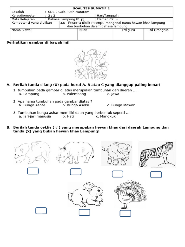 Sumatif 2 - BLP | PDF