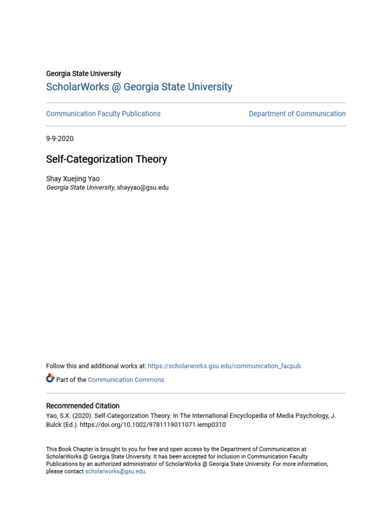 Self Categorization Theory | PDF