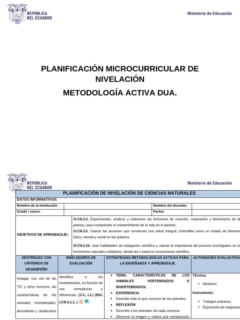 Nivelación - CCNN | PDF
