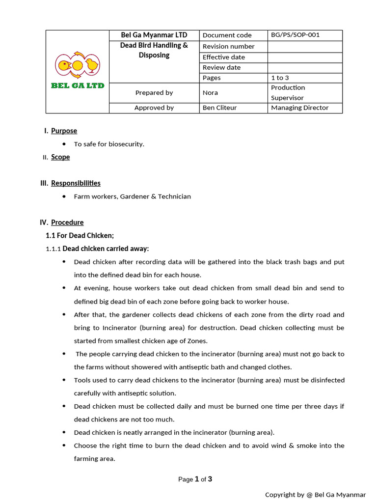 Dead Bird (Chicken) Handling & Disposing Procedure | PDF