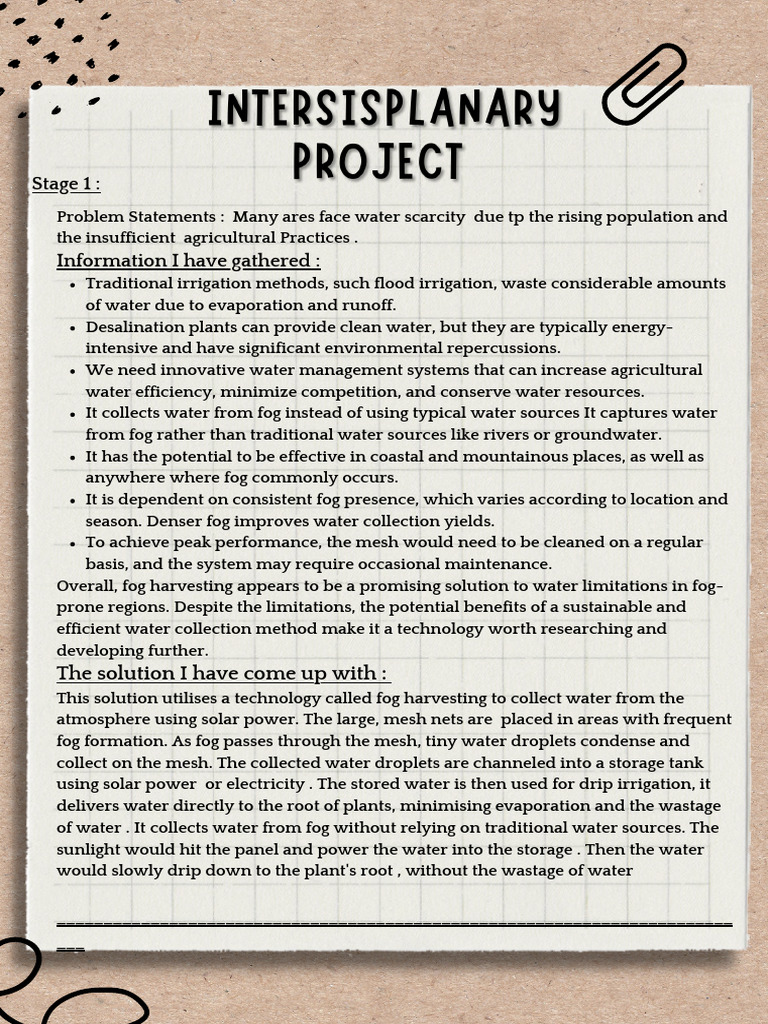 Interdisciplinary Project Pdf