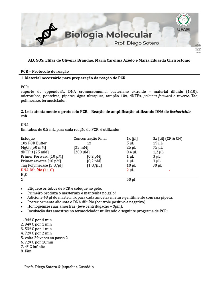 Prática 9 PCR Preparo | PDF | Reação em cadeia da polimerase | Primer ...