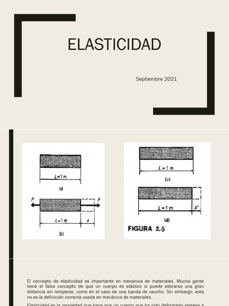 Elasticidad 1 | PDF