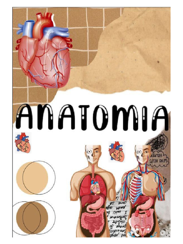 A Car Atul Aaaaaaaaaa | PDF