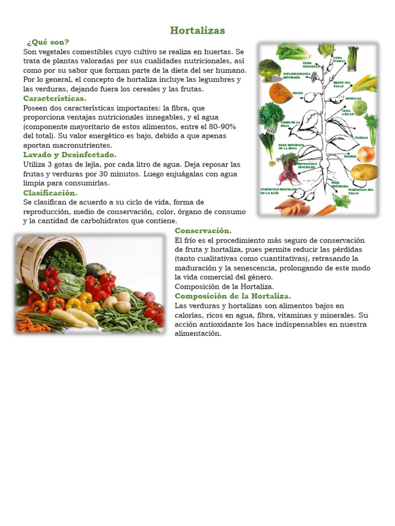 Hortalizas | PDF