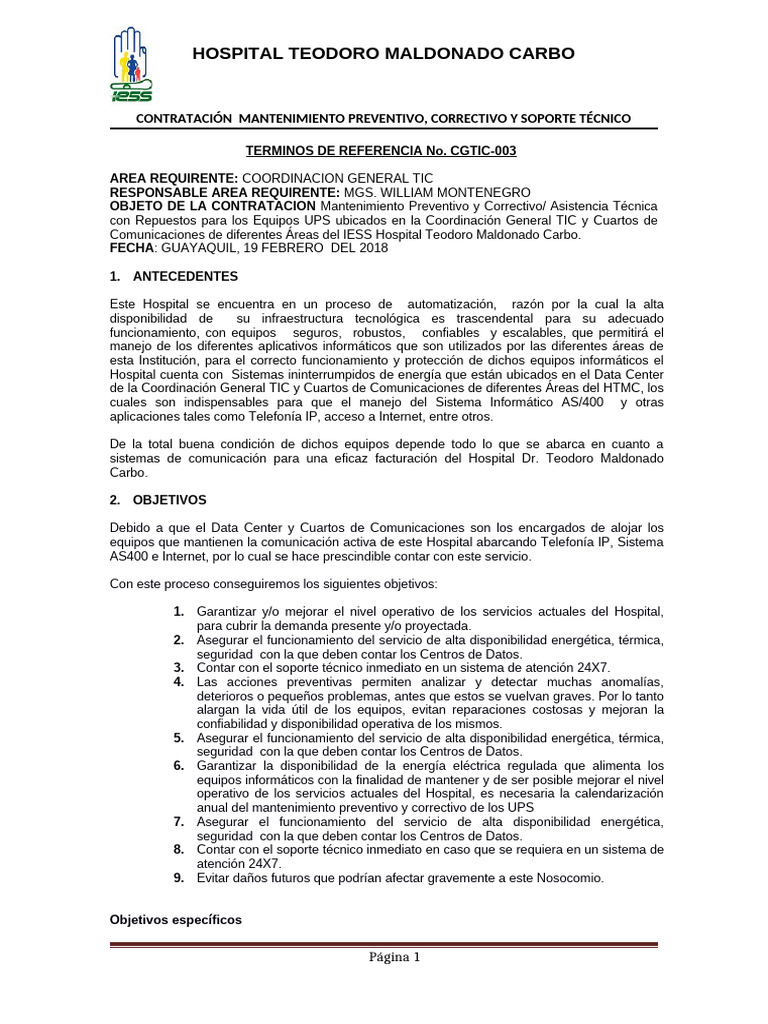 FORMATO TDR SERVICIOS | PDF