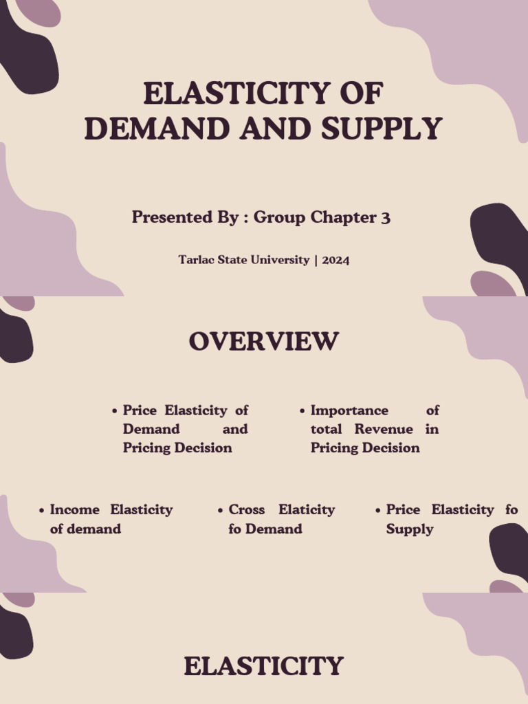 Elasticity | PDF