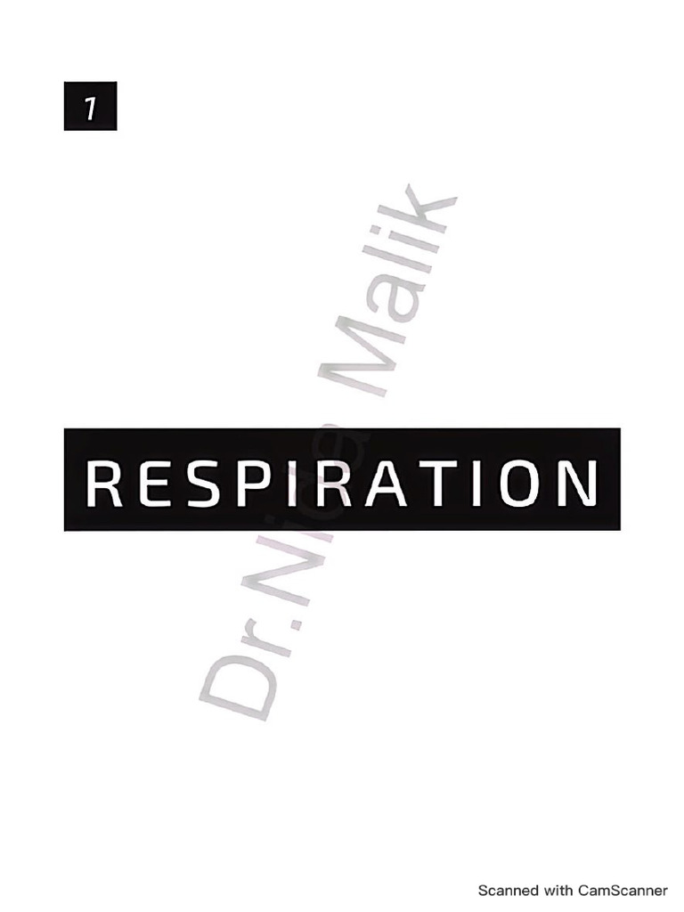 A2 Level Respiration Notes | PDF