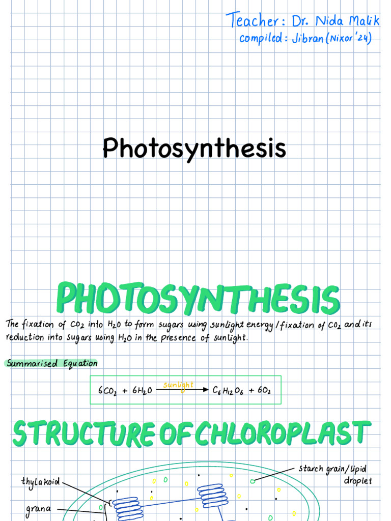 A2 Photosynthesis Notes | PDF | Photosynthesis | Science & Mathematics
