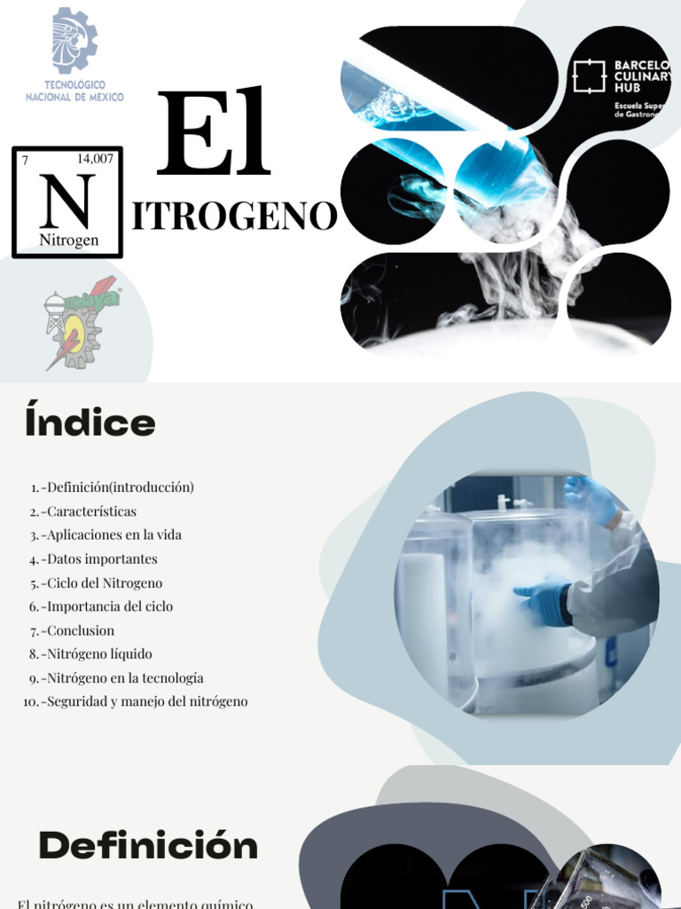 El Nitrogeno | PDF
