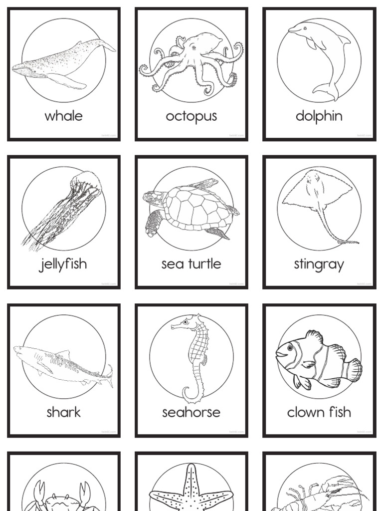 BW Ocean Animal Matching Game | PDF
