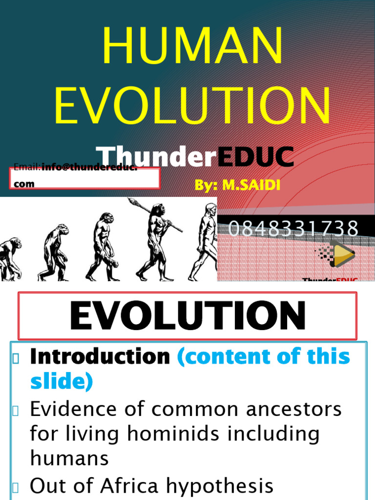 12.evolution by Human Final | PDF | Homo | Bipedalism