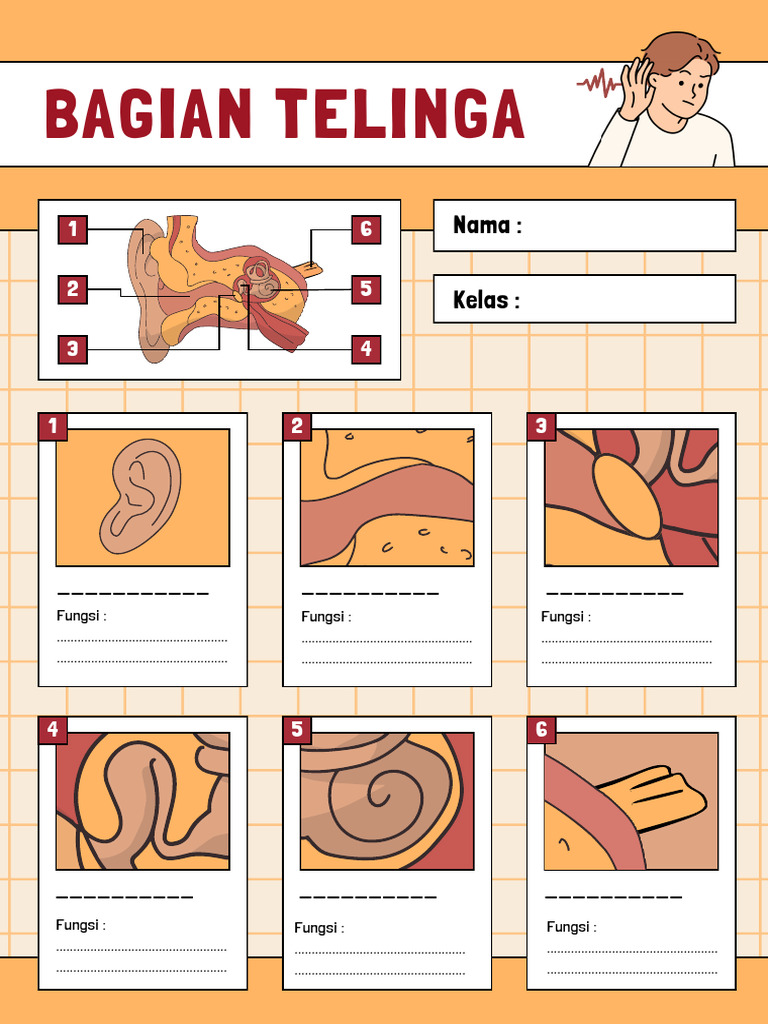 LKPD Bagian-Bagian Telinga | PDF