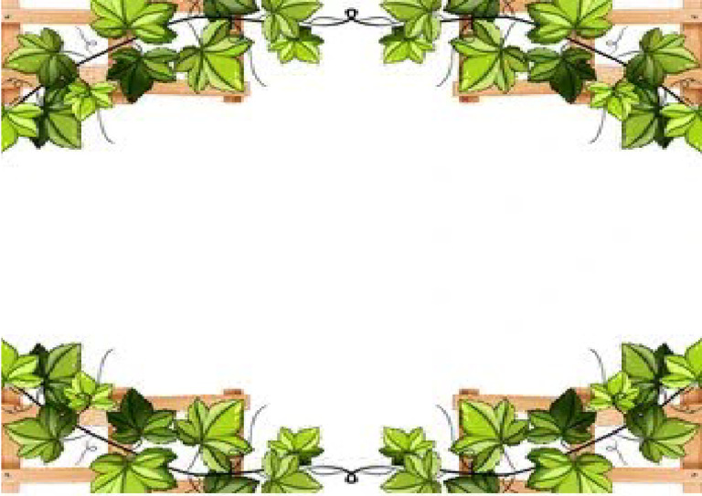 Green Boarder | PDF