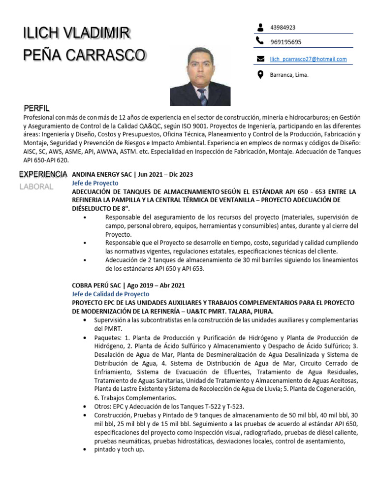 CV ILICH PEÑA_ACTUALIZADO_2024 | PDF