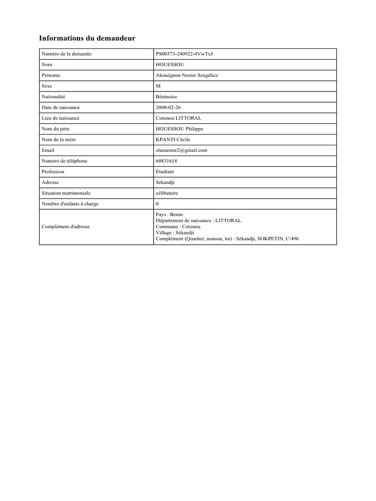 Casier Judiciaire Service Application | PDF