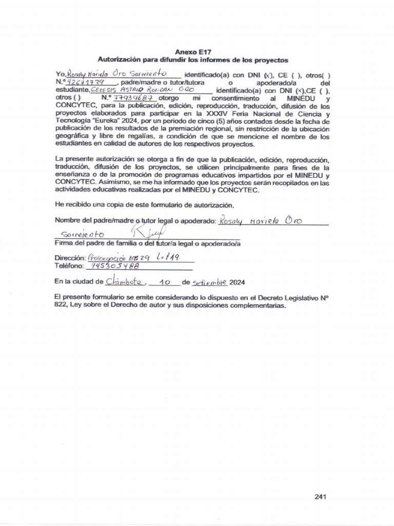 Anexo E17 Oro Deisi | PDF