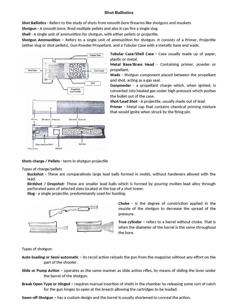Shot Ballistics | PDF
