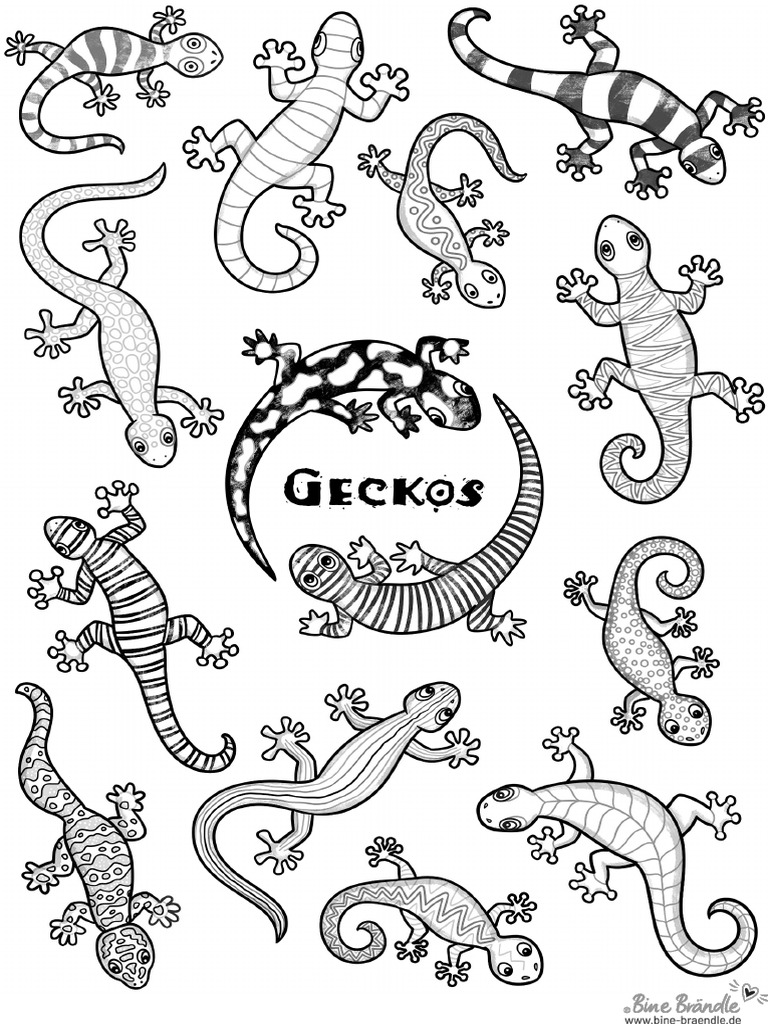 Geckos | PDF