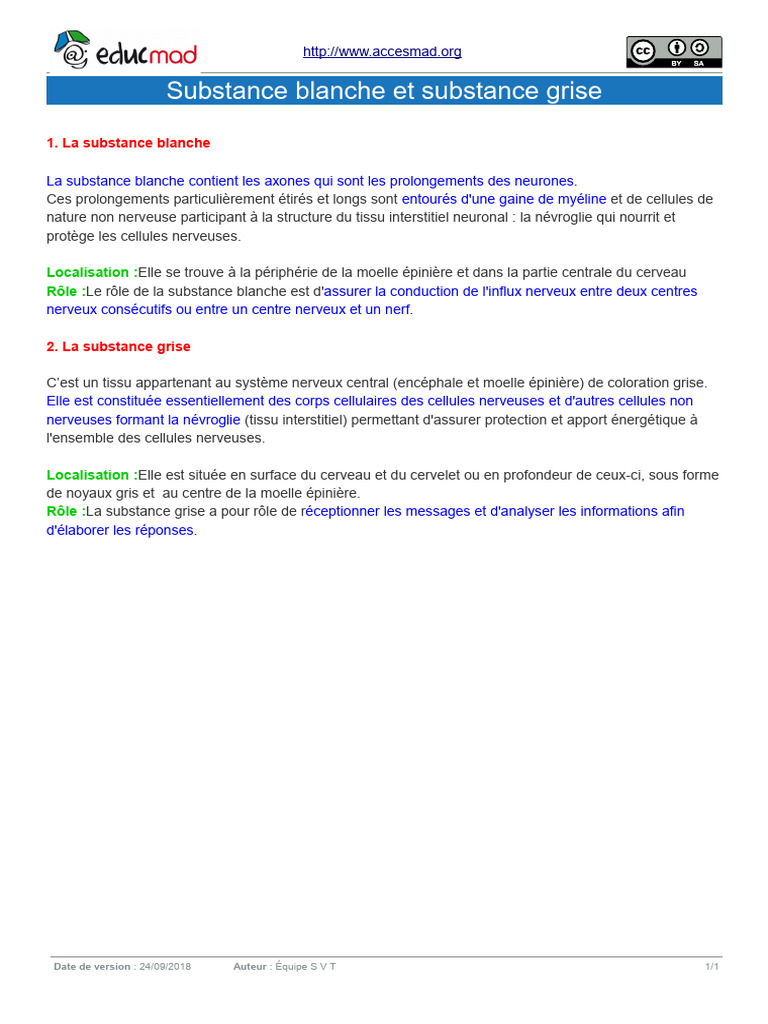 Substance Blanche Et Substance Grise | PDF