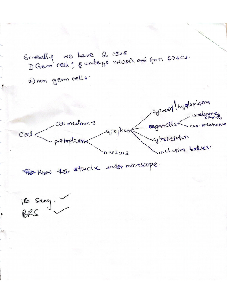 Histology Notes | PDF