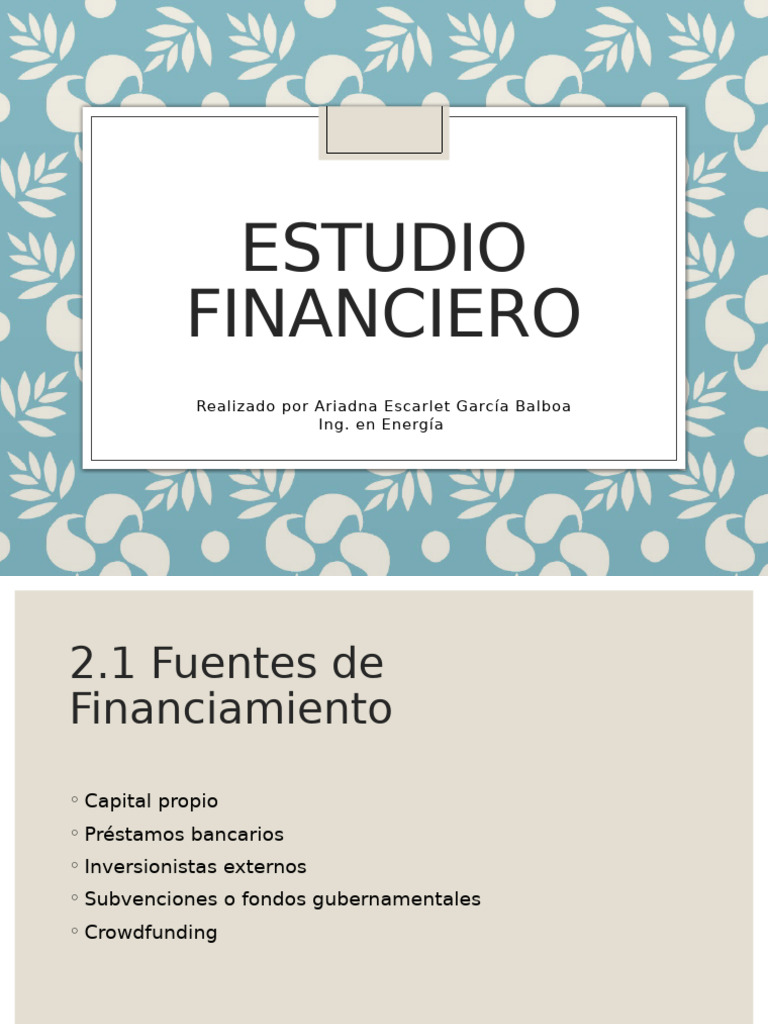 Estudio Financiero Presentacion Actualizada | PDF | Finanzas y dinero