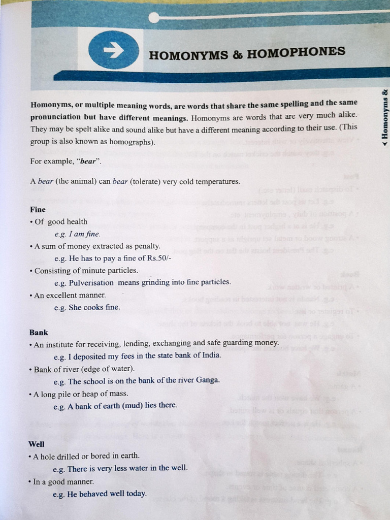 Homonyms and Homophones | PDF