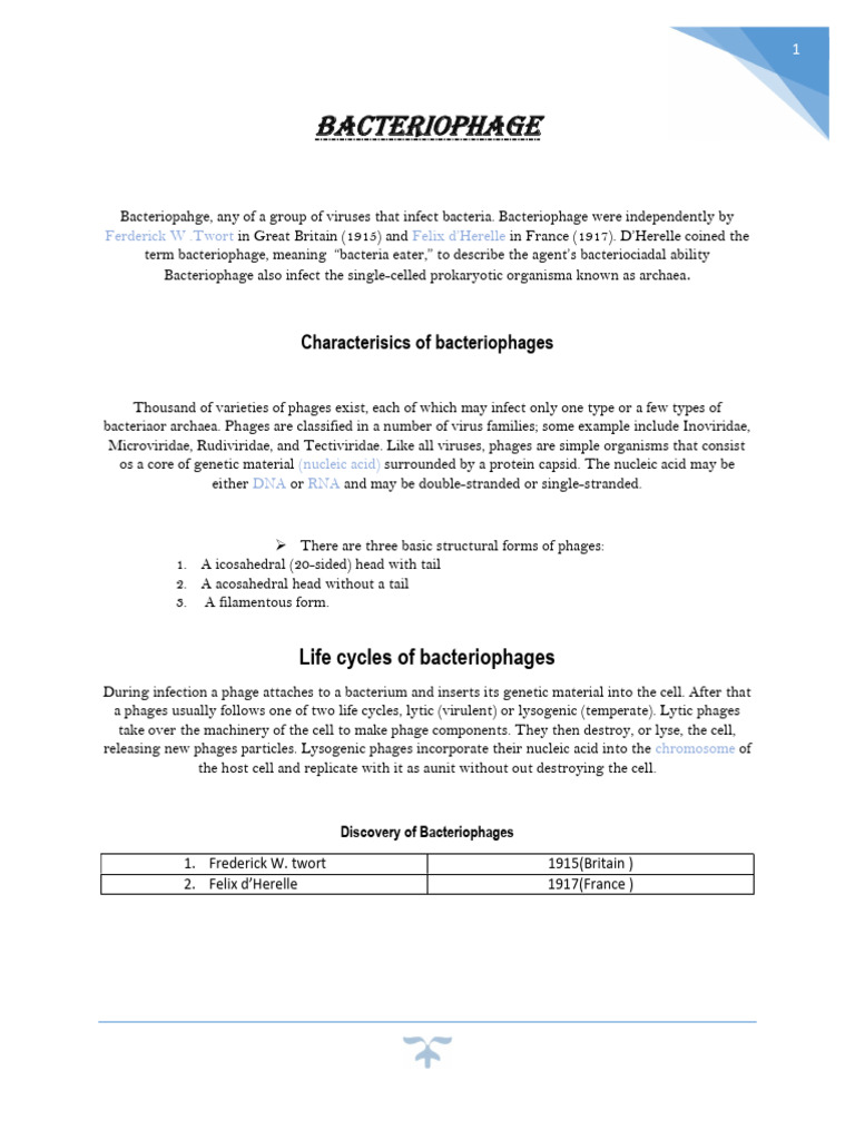 Overview of Bacteriophages and Their Life Cycles | PDF
