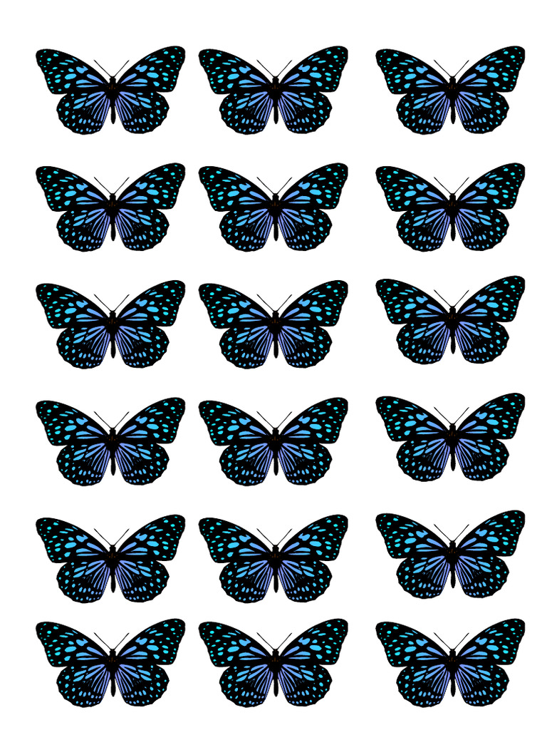 Butterfly | PDF
