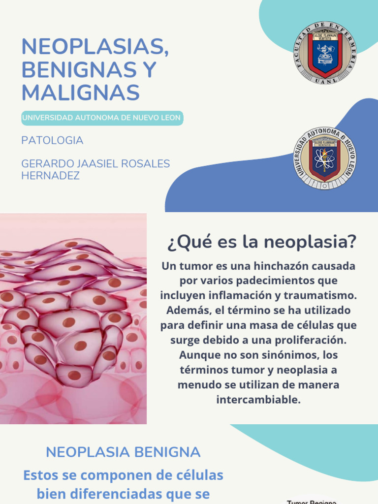Neoplasias, Benignas y Malignas | PDF