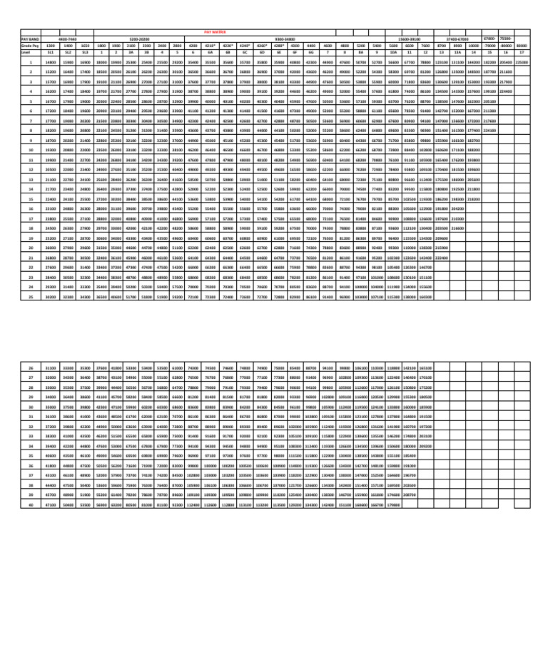 Pay Matrix Level | PDF