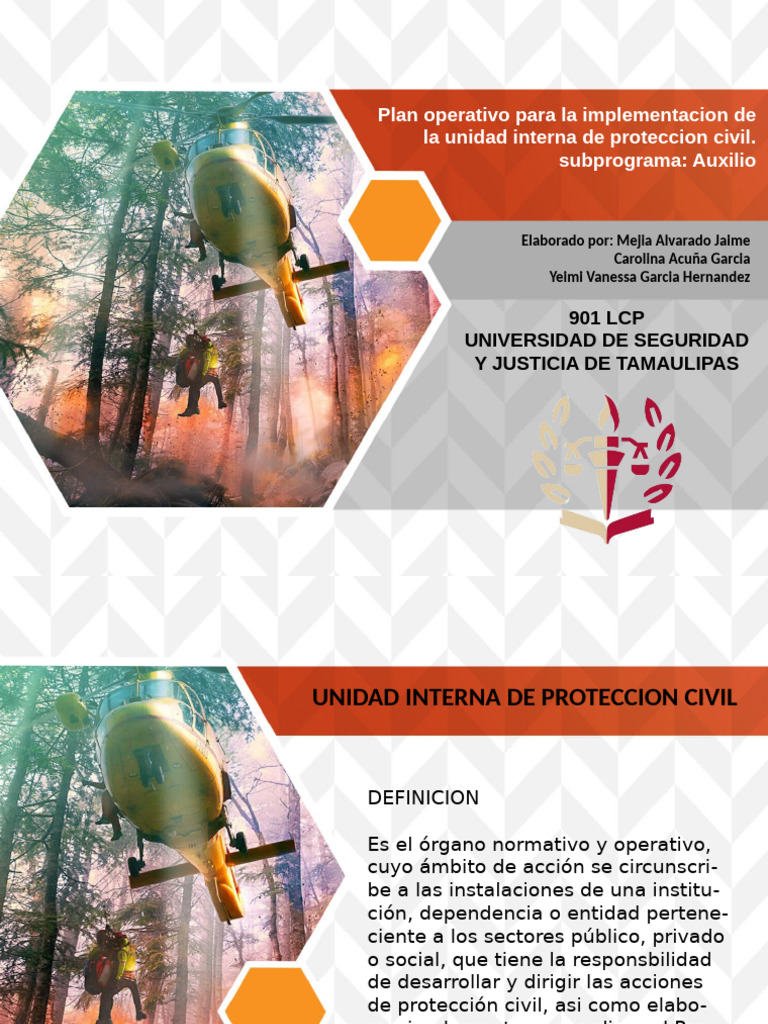SUbprogram Auxilio Jaim | PDF