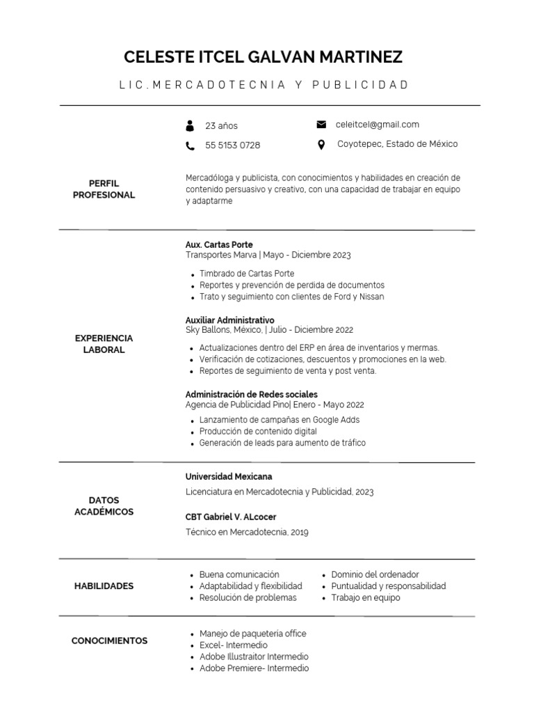 Cv Celeste Martinez | PDF