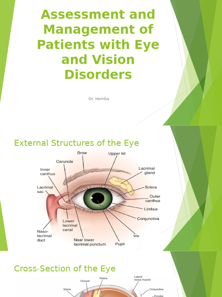 Eye Student | PDF