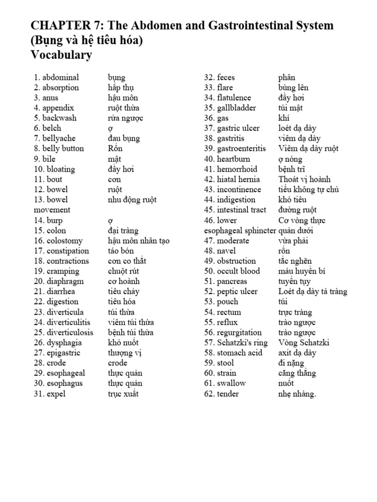 CHAPTER 7 Vocab+reading | PDF