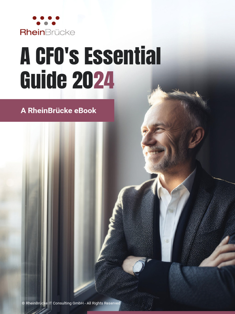 CFO Guide 2024 | PDF