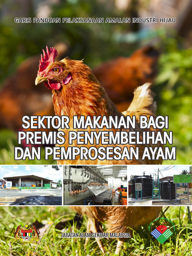 Proses Ayam Final | PDF