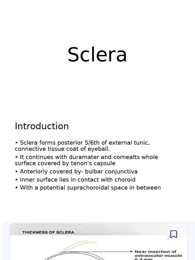 Sclera | PDF