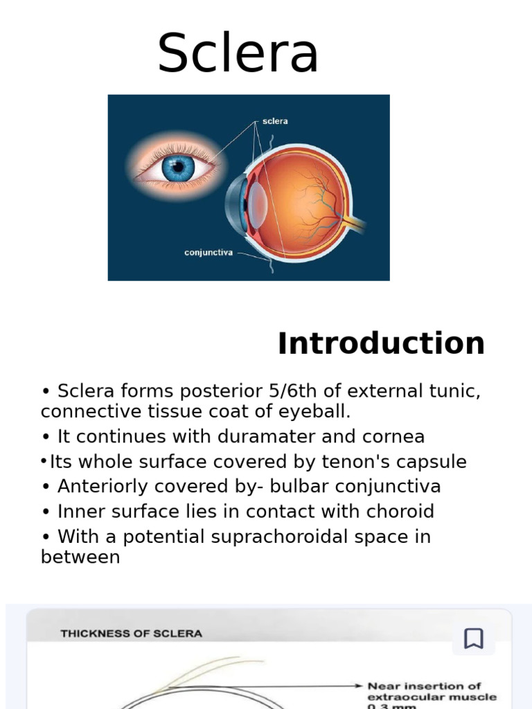 Sclera | PDF