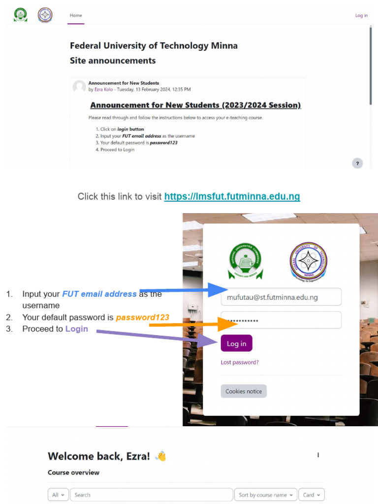 FUTMINNA Student Email Login Guide | PDF