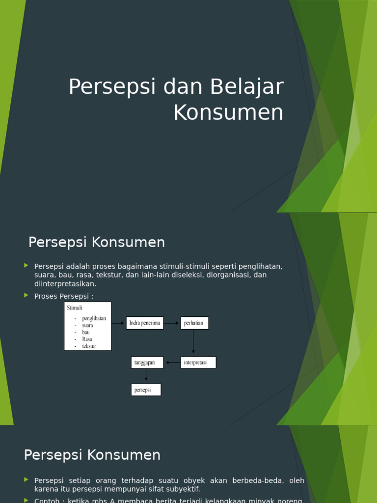 Persepsi Dan Belajar Konsumen | PDF