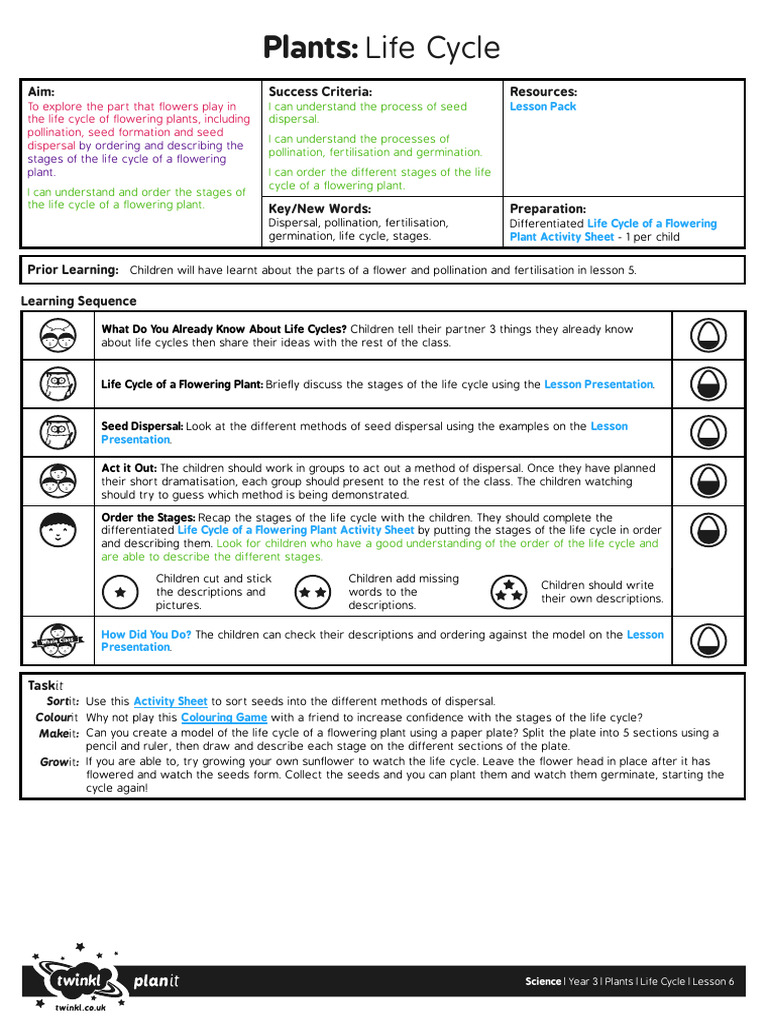 Lesson Plan Life Cycle | PDF