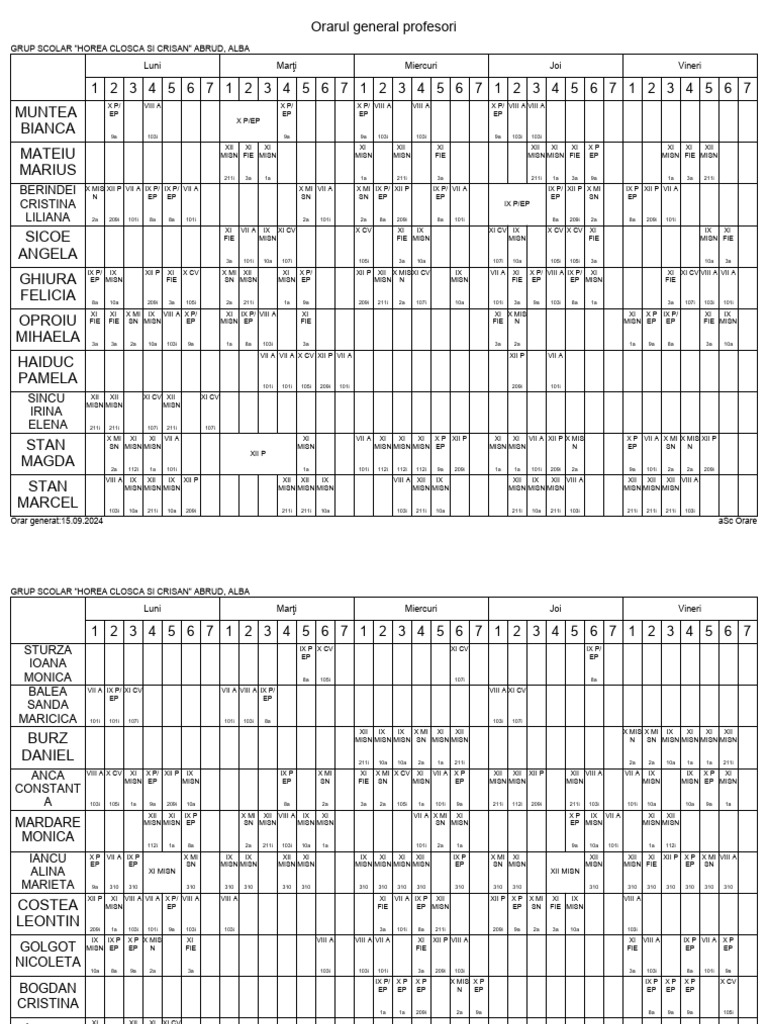 Orar Profesori V2 | PDF