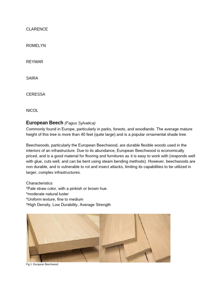 Content For The 1ST Reporting | PDF