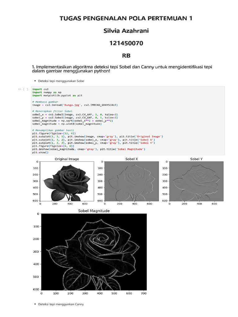 121450070_Silvia_Azahtani_Tugas_Pengenalan_Pola | PDF